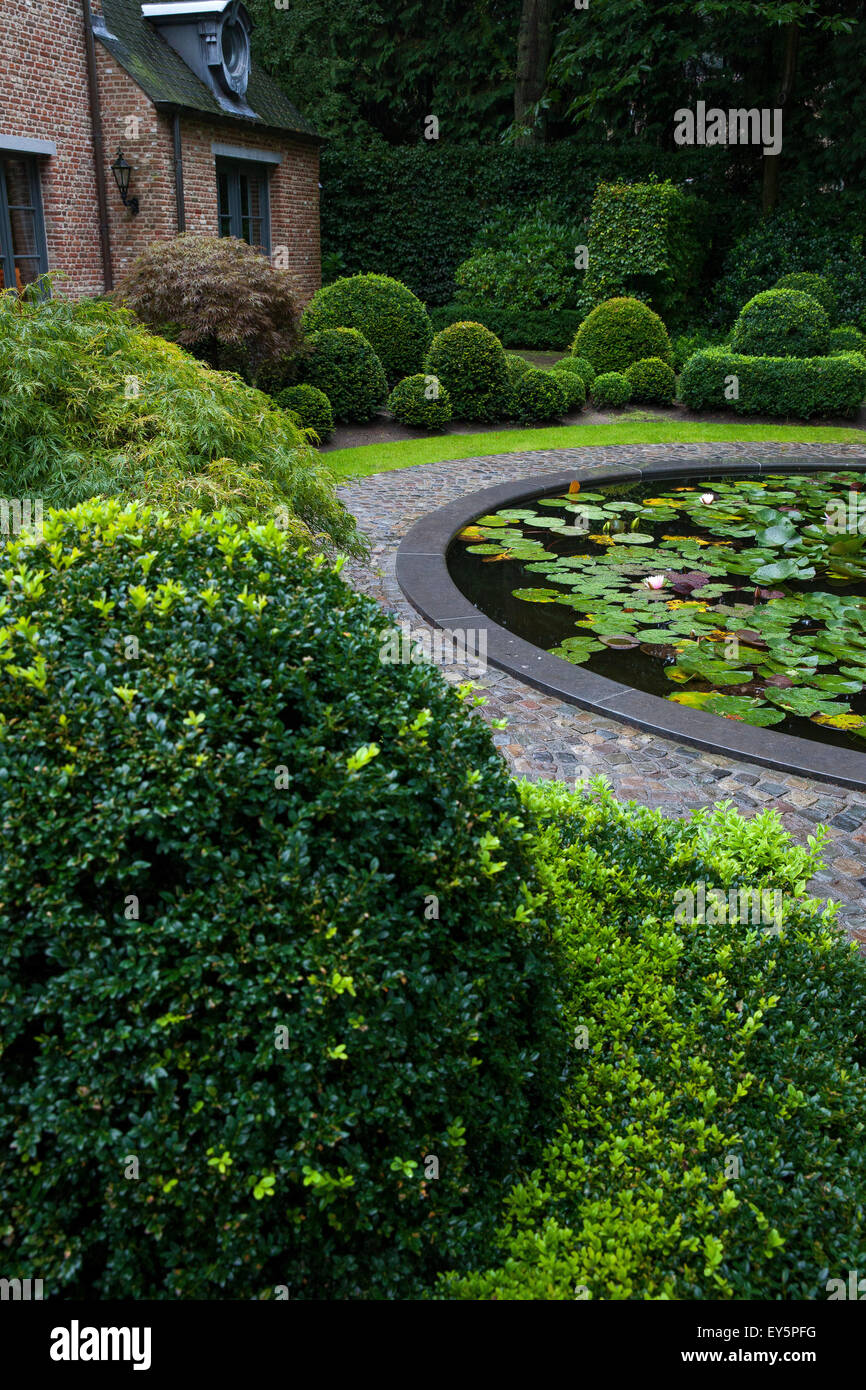Buxus trees hi-res stock photography and images - Alamy