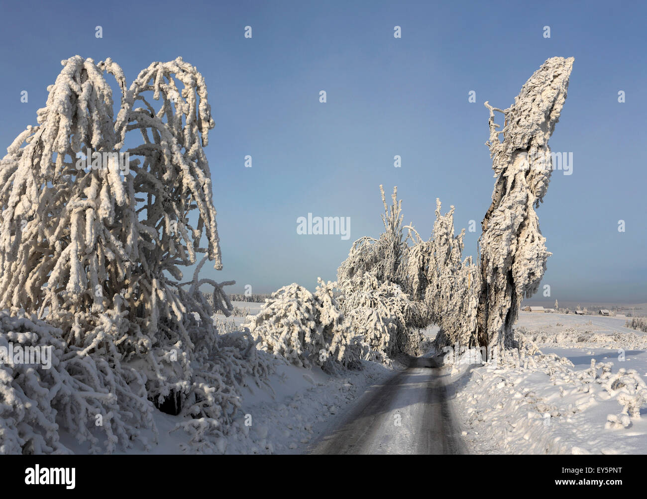 Snowy road hi-res stock photography and images - Alamy
