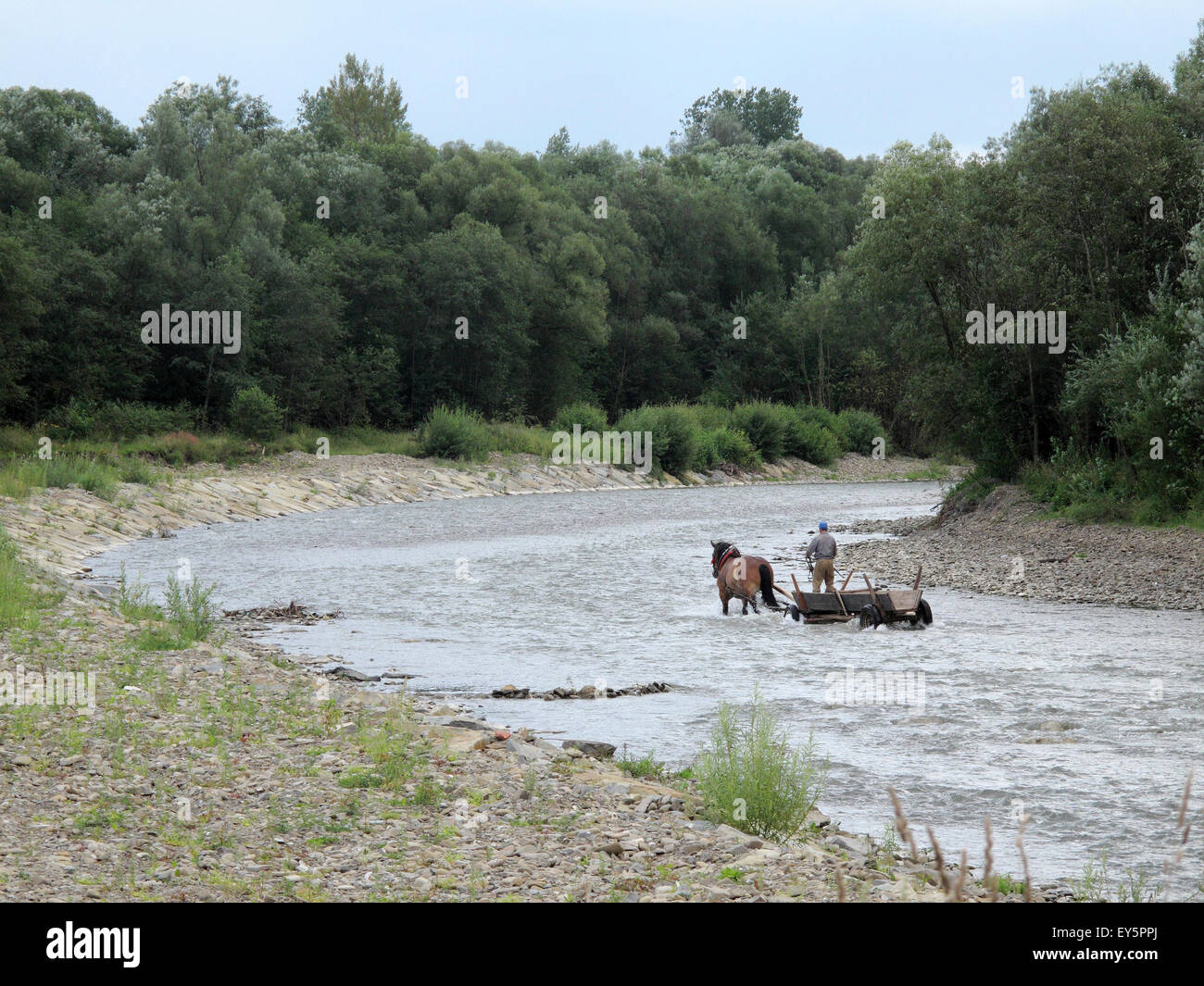 River horse hi-res stock photography and images - Alamy