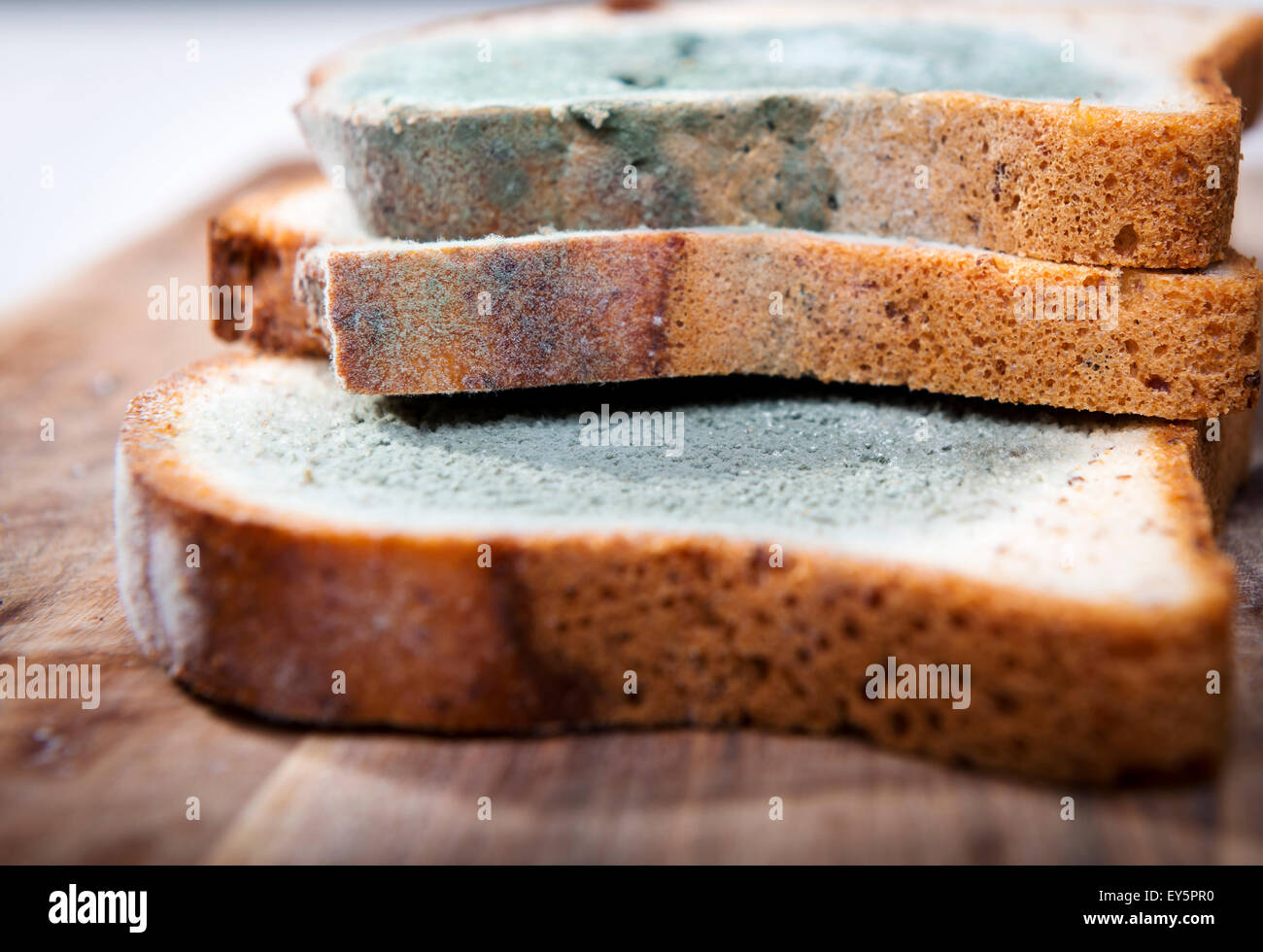 Bread mold hi-res stock photography and images - Alamy