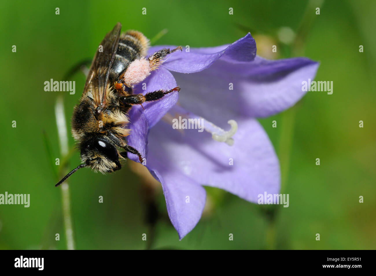 Melitta High Resolution Stock Photography and Images - Alamy