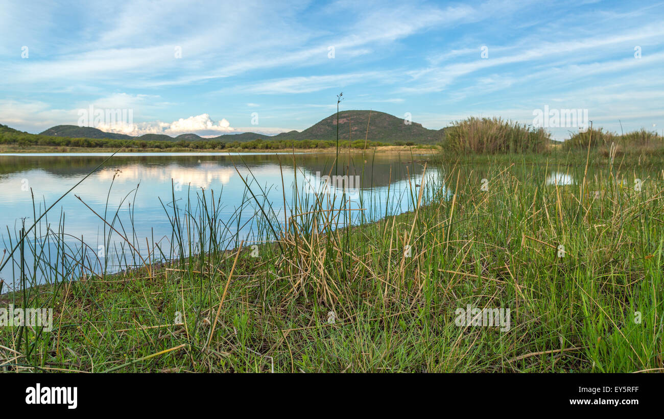 A beautiful lake in the middle of Mokolodi Nature Reserve in Botswana ...