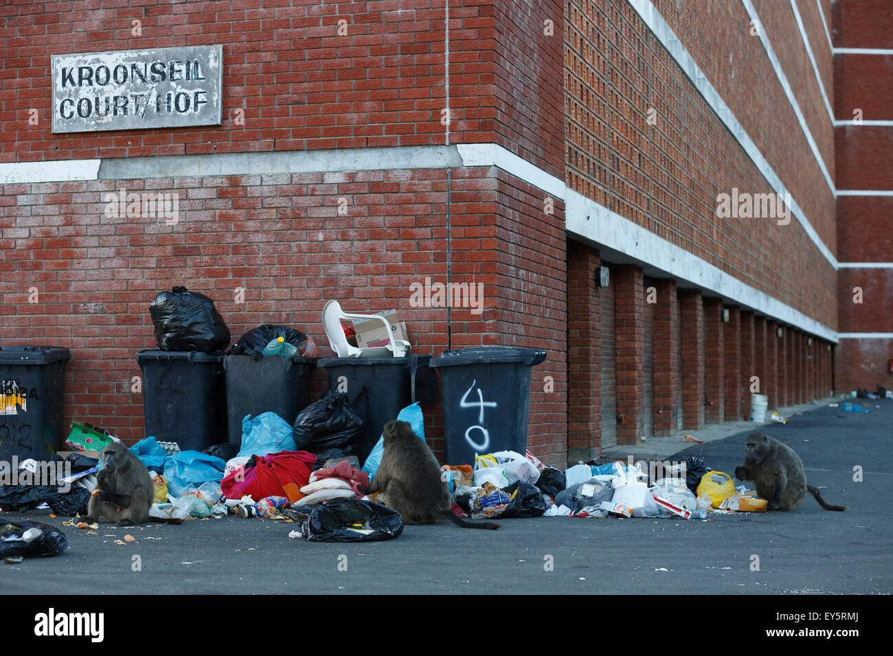 Rummaging hi-res stock photography and images - Alamy