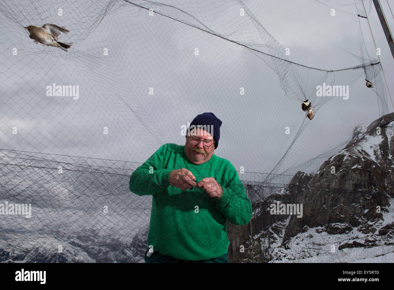 Swiss Birds High Resolution Stock Photography and Images - Alamy