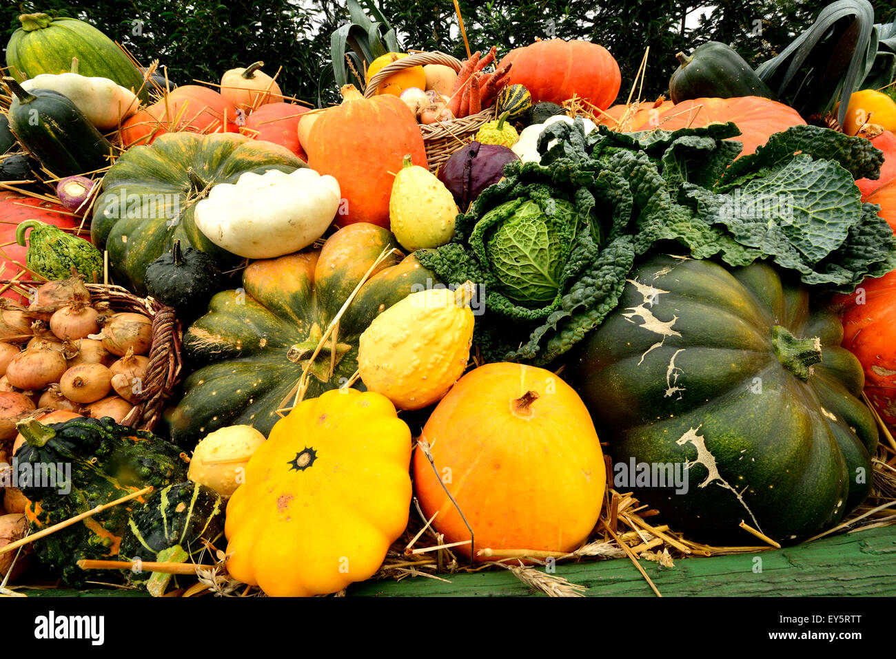 Vegetables show at Folies Flore 2014 - Mulhouse - France Stock Photo ...