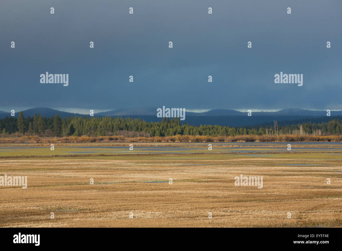 Conboy hi-res stock photography and images - Alamy