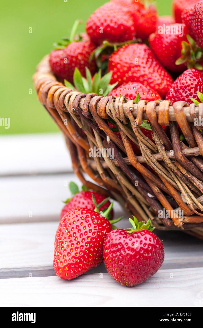 Harvest of strawberries in a basket Stock Photo - Alamy