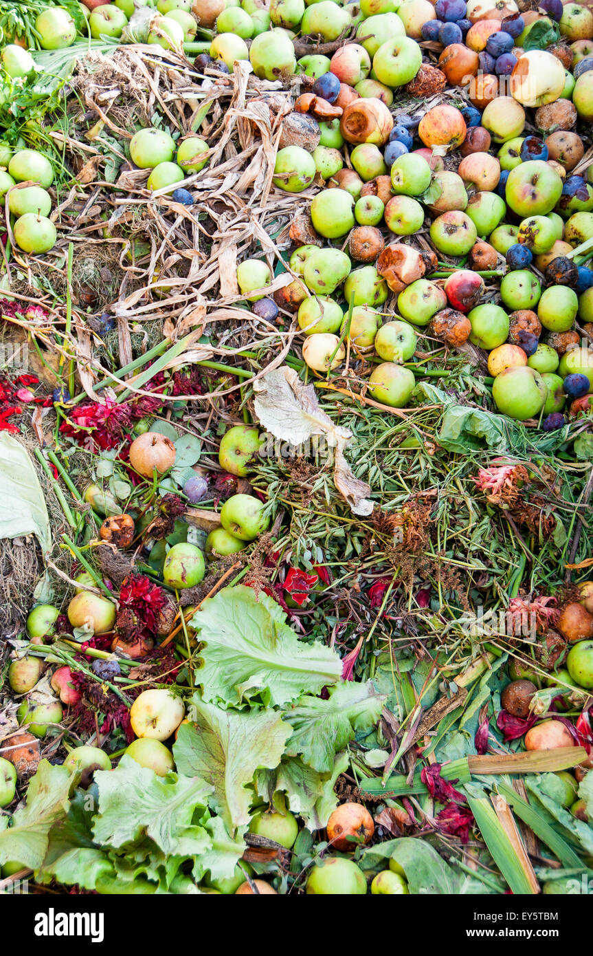 Organic scraps on a compost stack in a garden Stock Photo - Alamy