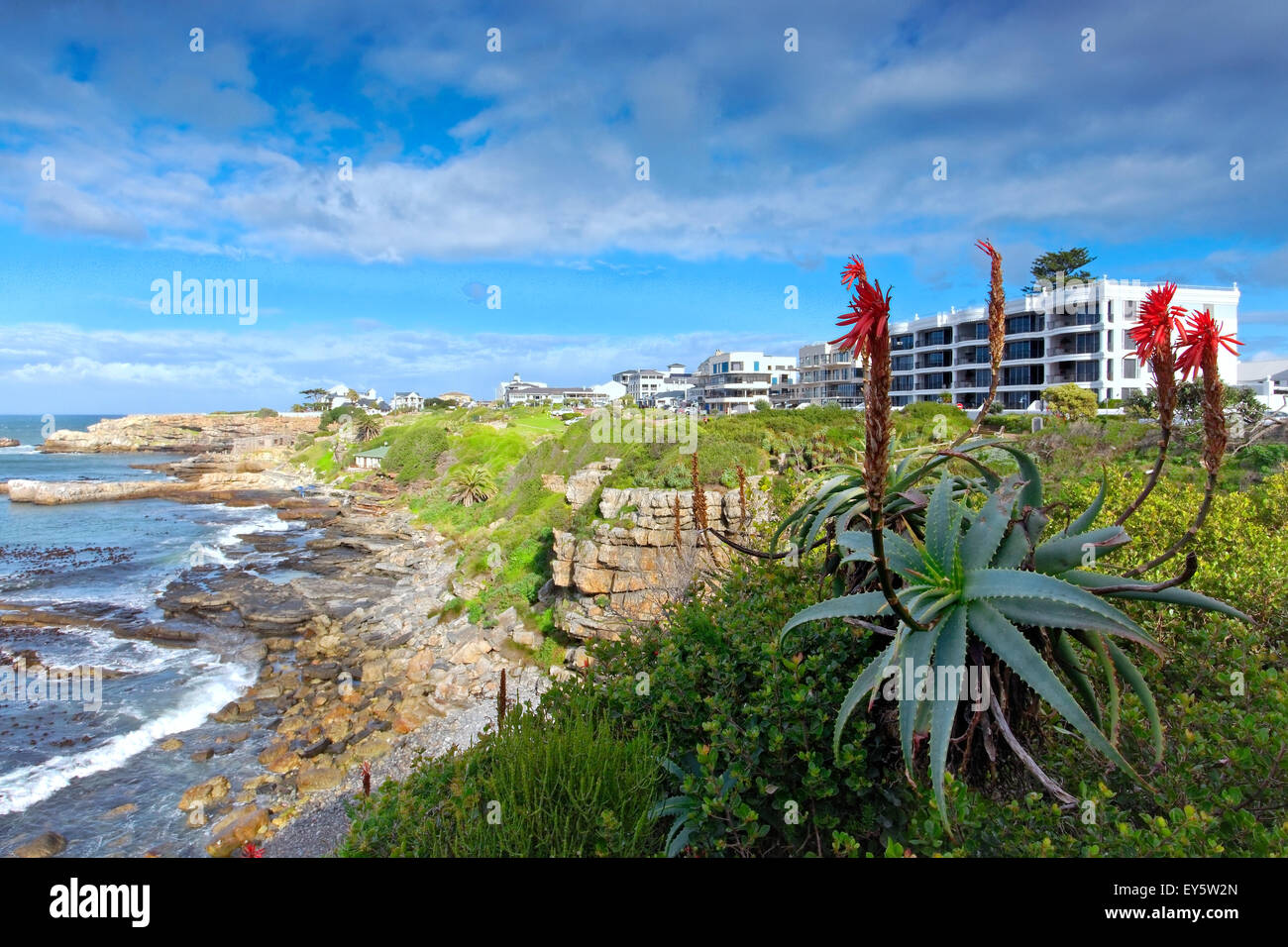 Coast and cliffs of the town of Hermanus - South Africa Famous for ...