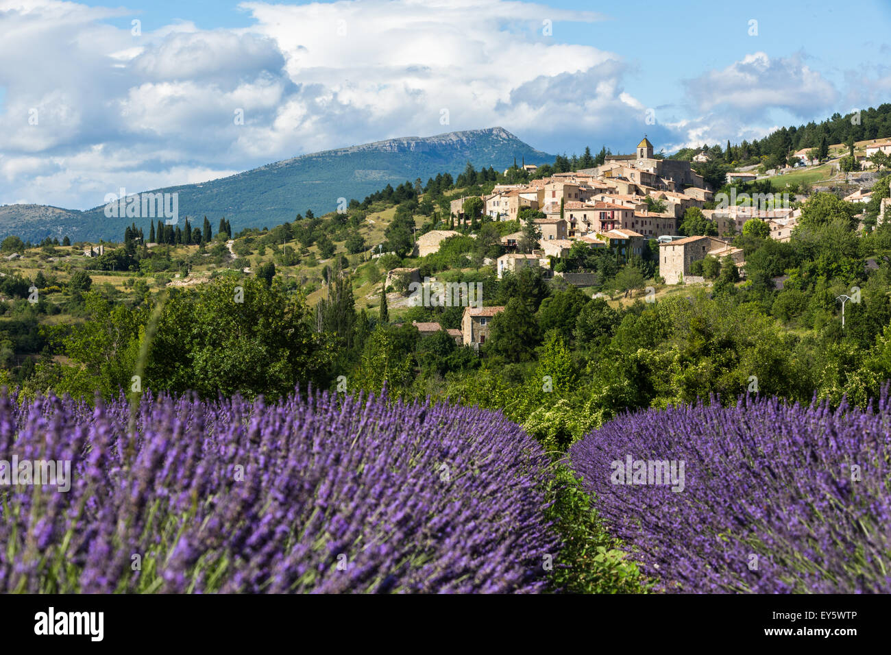 Lavender fields and village of Aurel in Vaucluse - France Stock Photo ...
