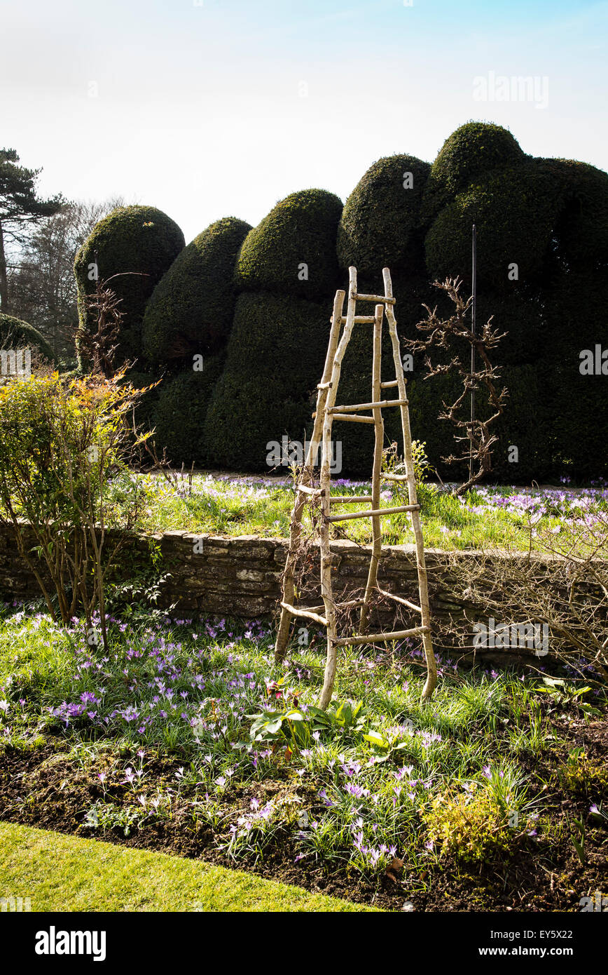 Herbaceous border in late winter early Spring showing rustic climbing ...