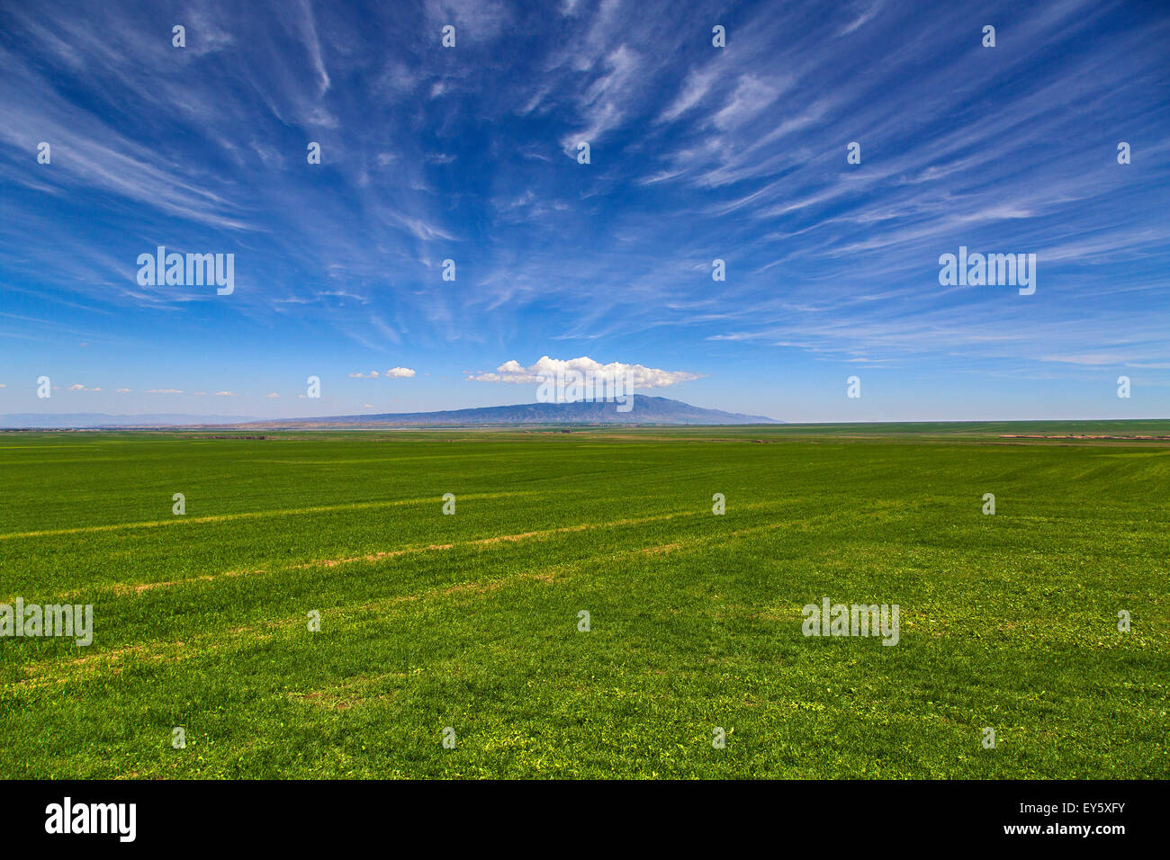 North china plain hi-res stock photography and images - Alamy North china plain hi-res stock photography and images - Alamy
