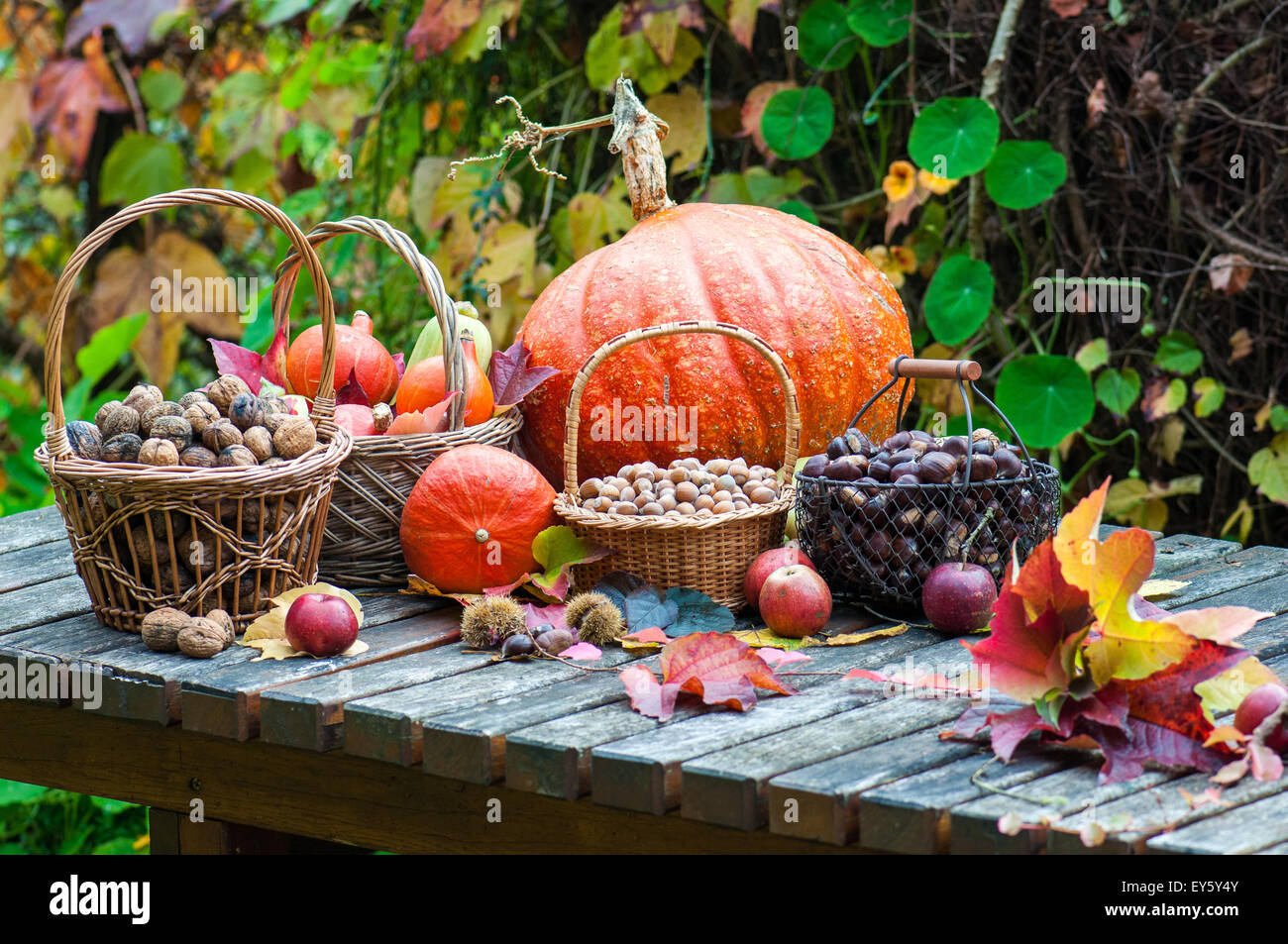 Harvest of dried fruits and vegetables in a garden in autumn Stock ...