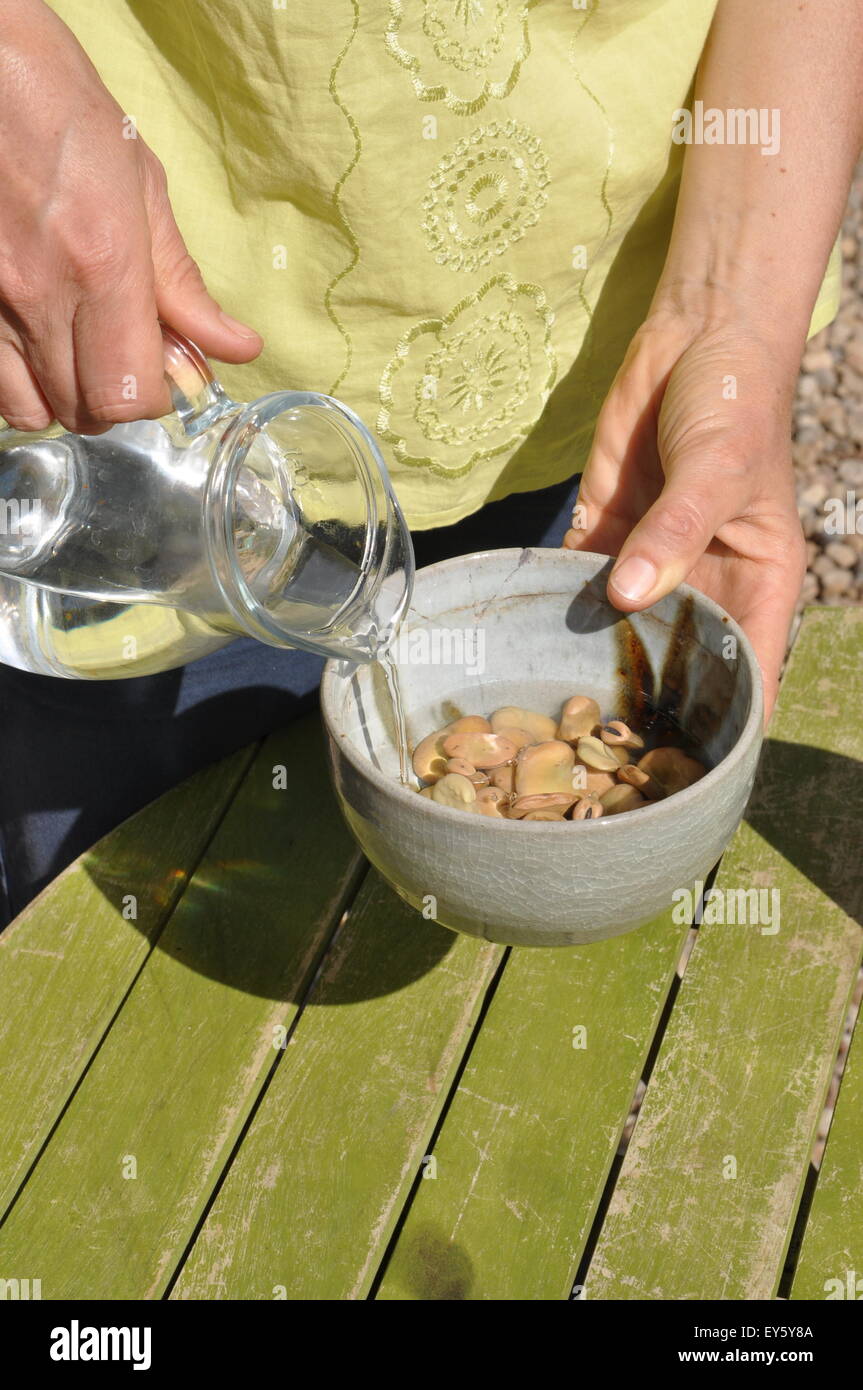 Sowing of horsebeans in a kitchen garden Stock Photo - Alamy