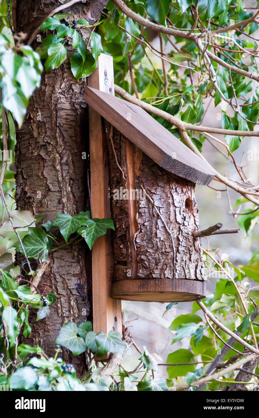 Breeding cage on a tree in a garden Stock Photo - Alamy