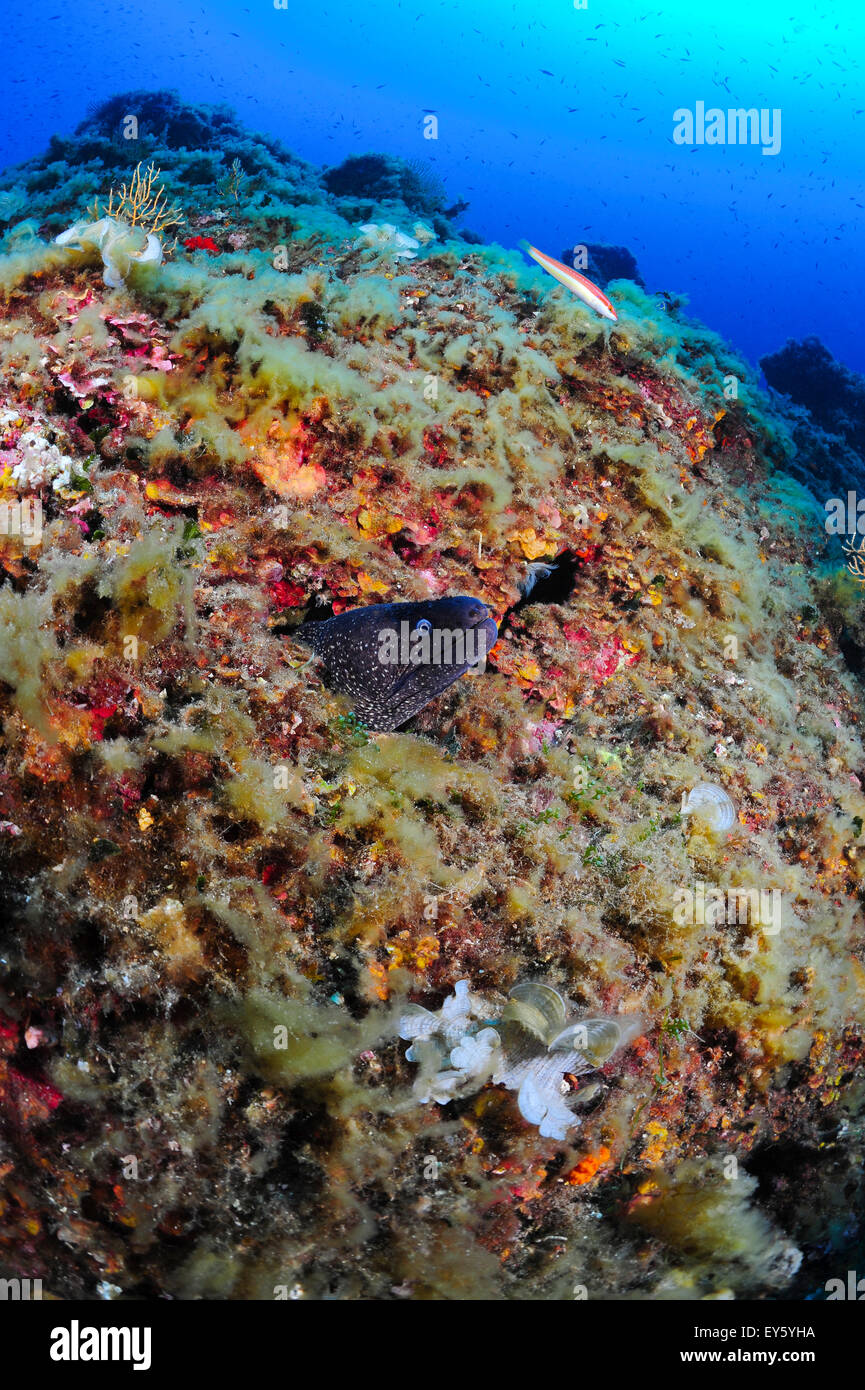 Diving site of the Pyramide Stock Photo - Alamy
