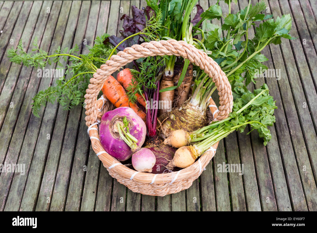 Harvest of vegetables in a garden Stock Photo - Alamy
