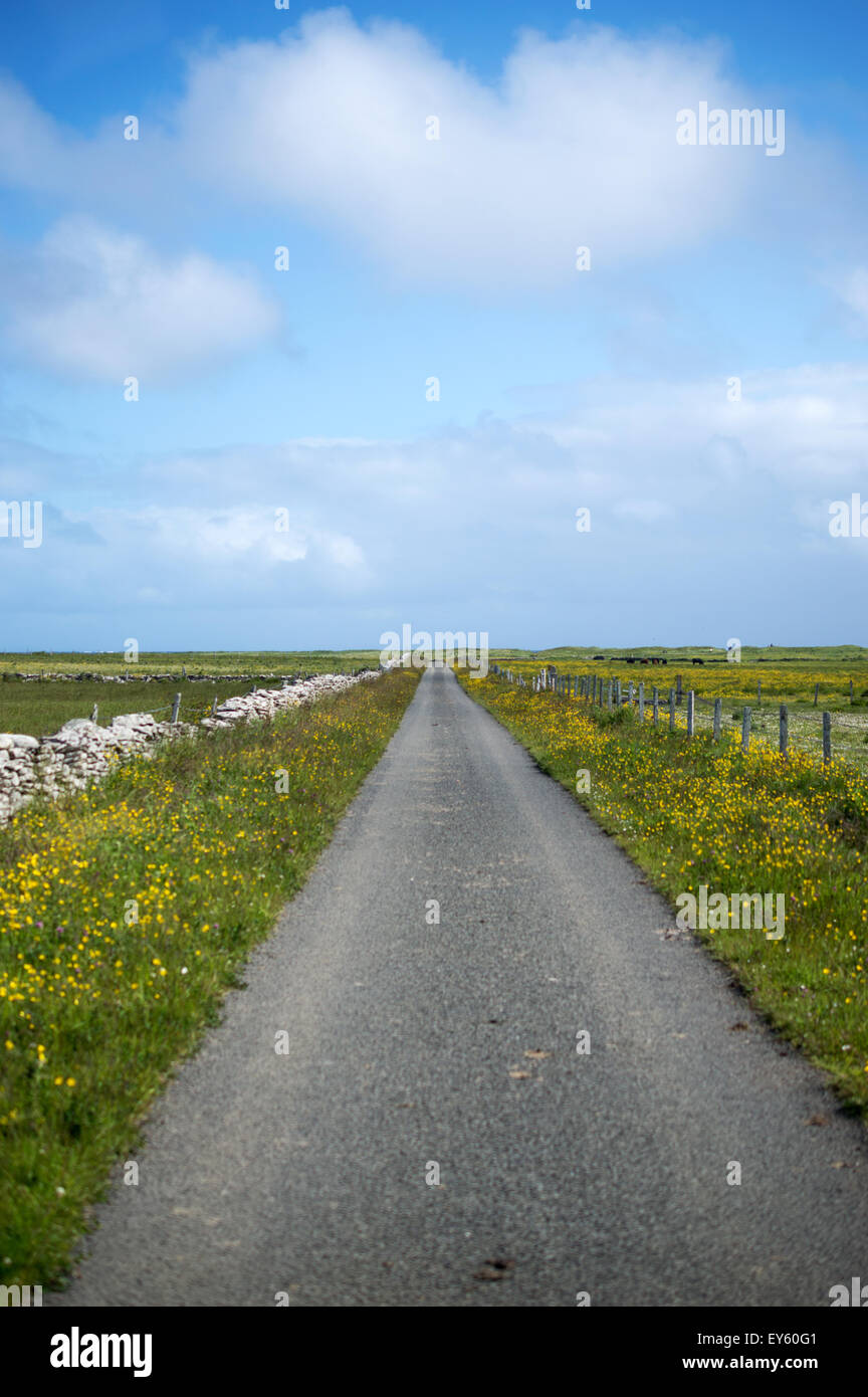Country road with fields on either side leading to the horizon and blue ...