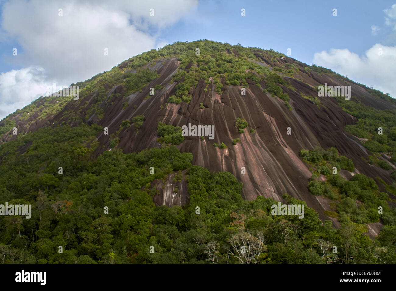 Inselberg in primary forest - Nouragues French Guiana granite outcrop ...