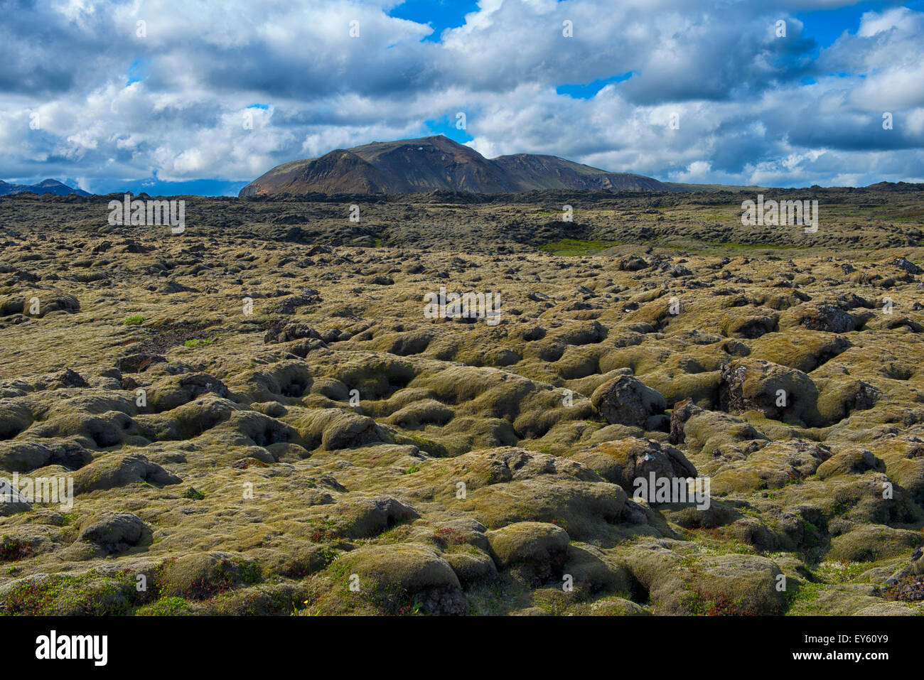 Lava Fields near Reykjavik, Iceland Stock Photo - Alamy