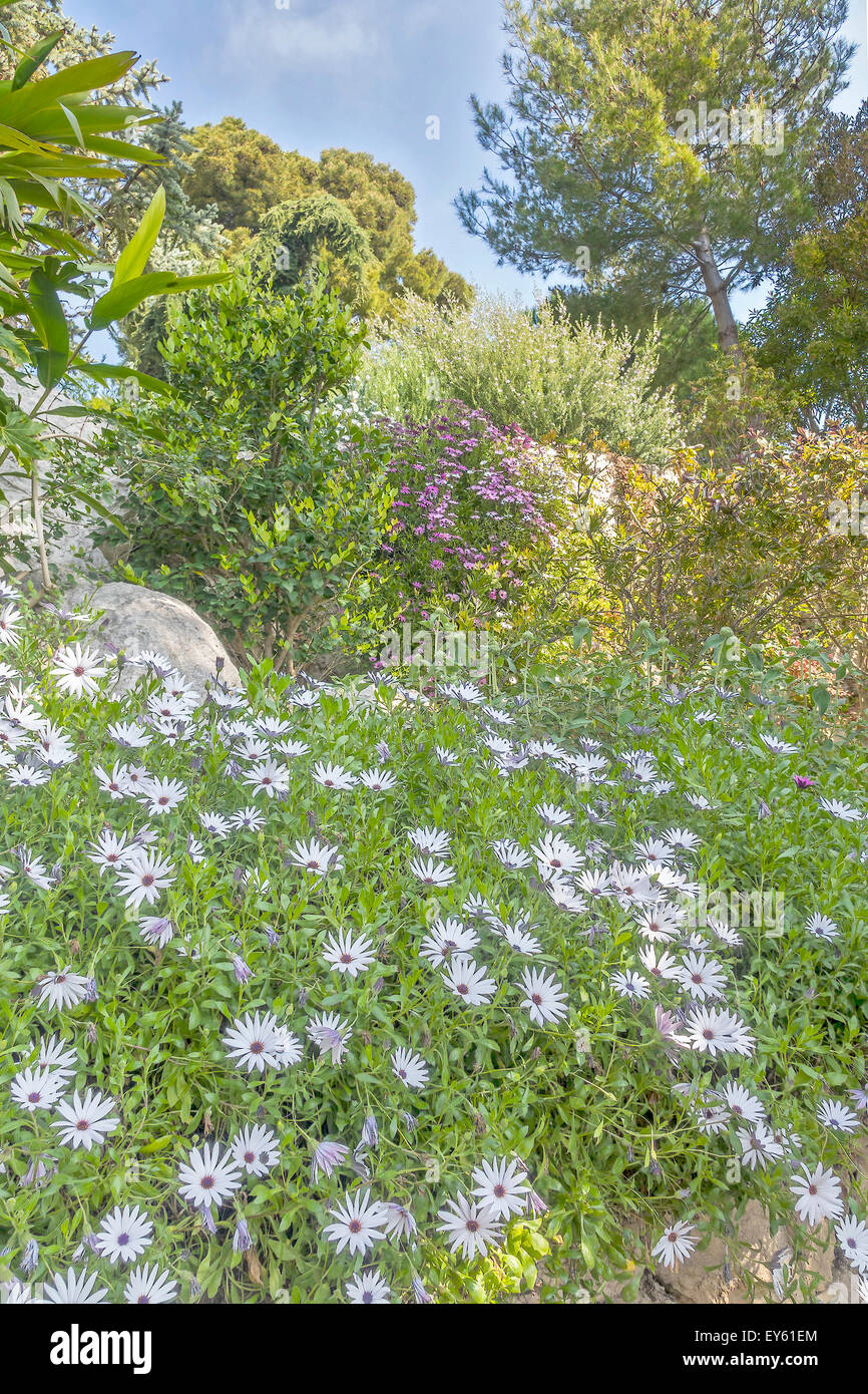 Monte gardens hi-res stock photography and images - Alamy