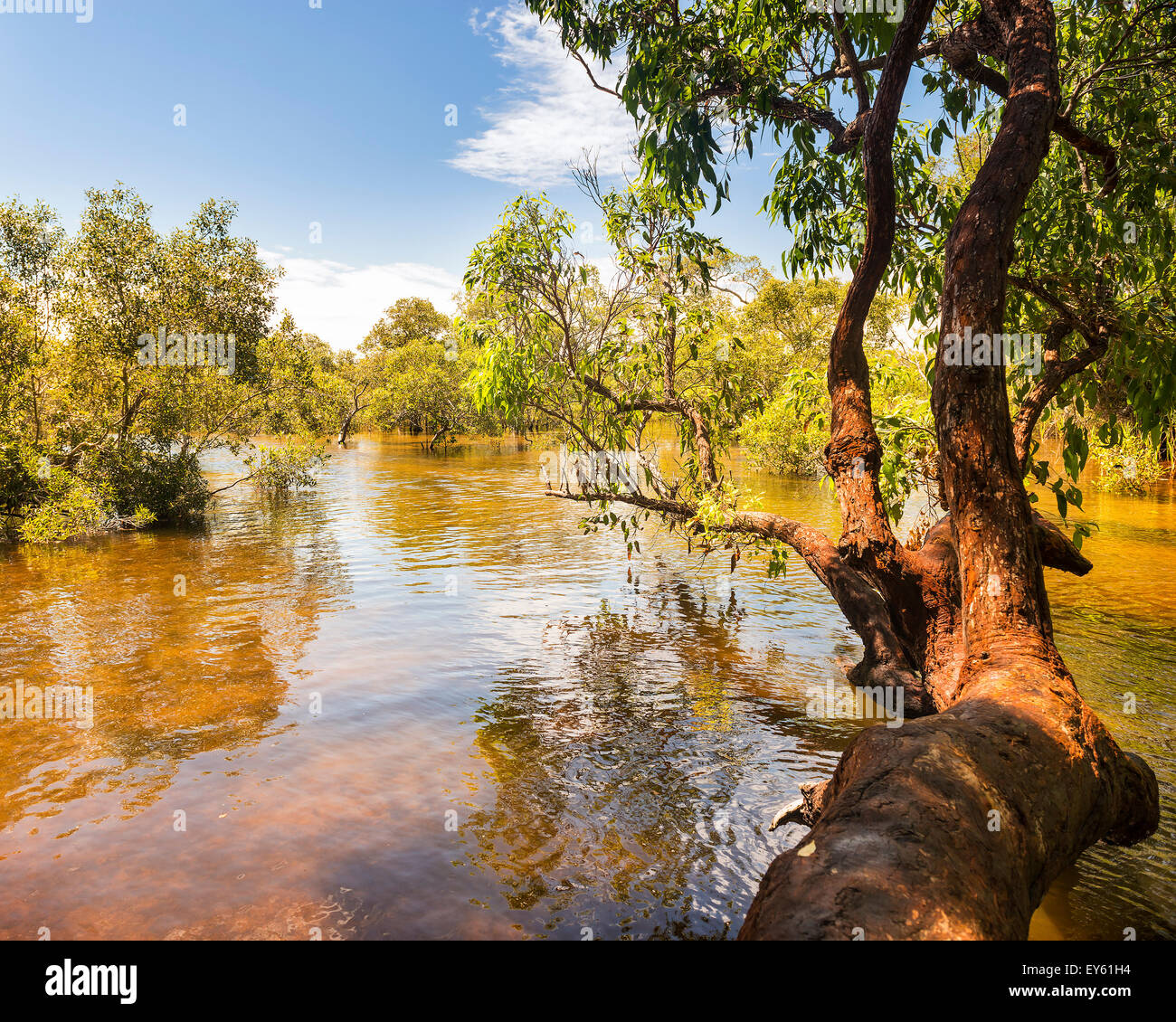 Myora Springs, important Aboriginal site of unique wetlands on ...