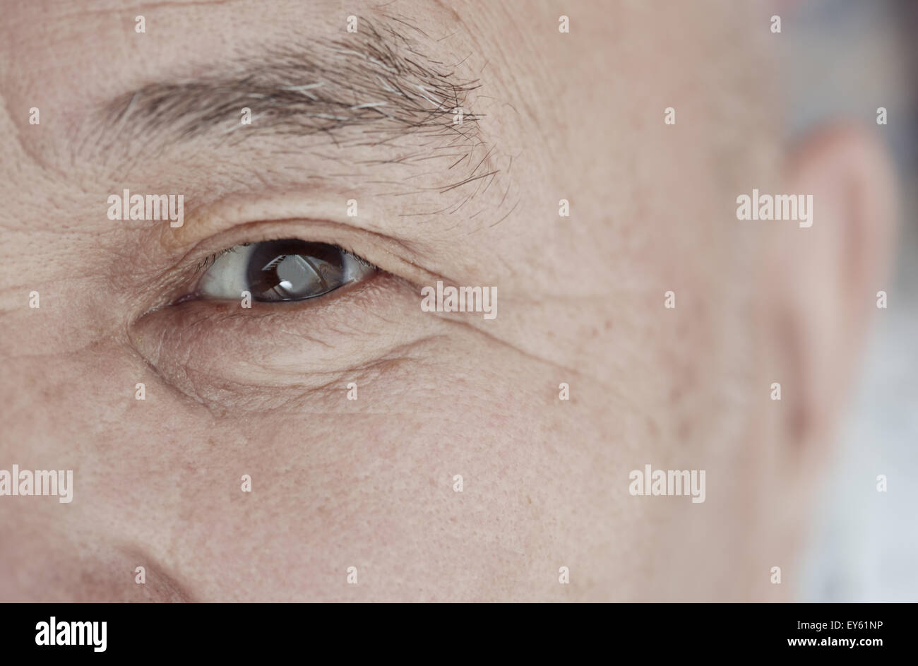 Close-up view on the eye of elderly human Stock Photo - Alamy