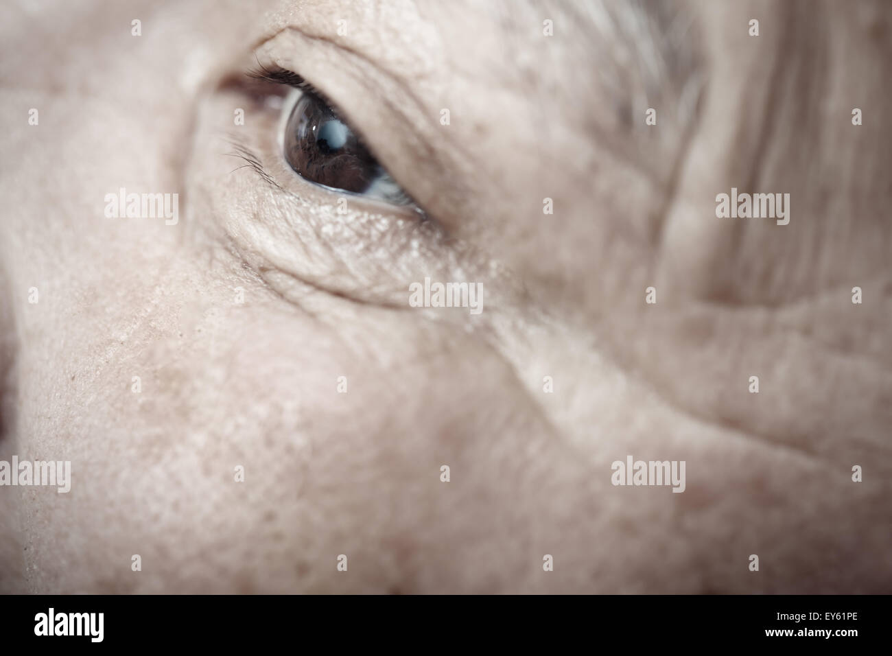 Close-up view on the eye of elderly human Stock Photo - Alamy