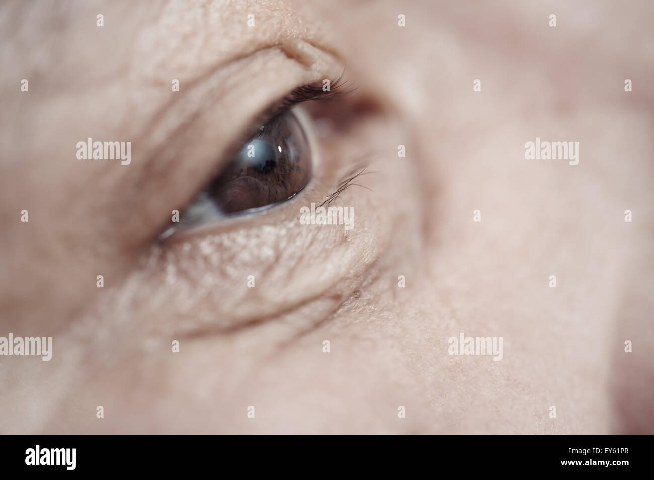 Close-up view on the eye of elderly human Stock Photo - Alamy