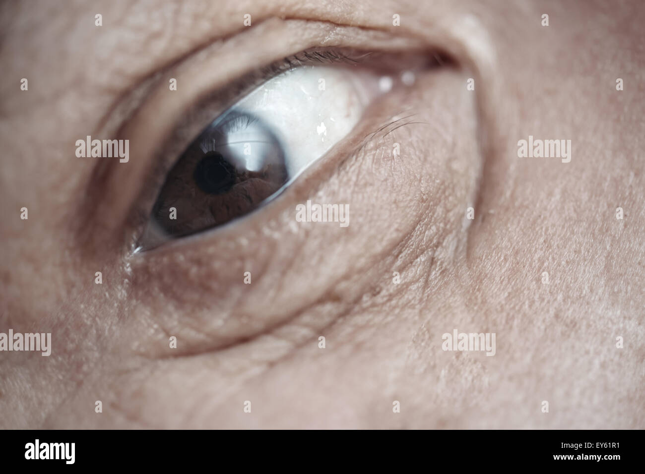 Close-up view on the eye of elderly human Stock Photo - Alamy