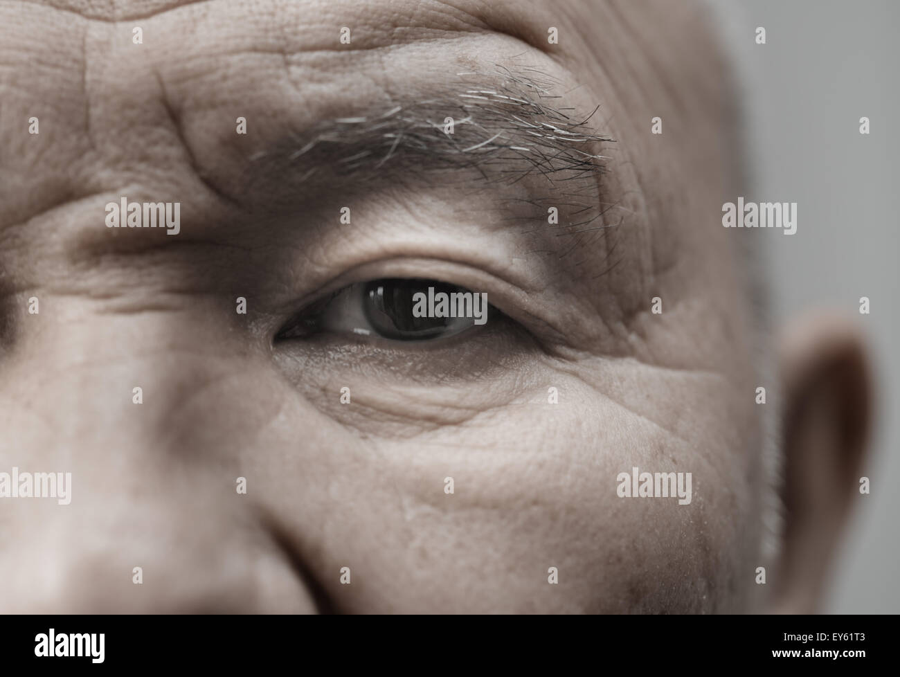 Face of elderly man looking at camera. Horizontal photo Stock Photo - Alamy