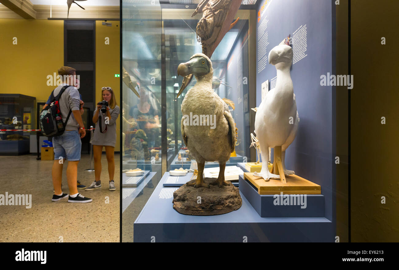 Dodo The Natural History Museum High Resolution Stock Photography and ...