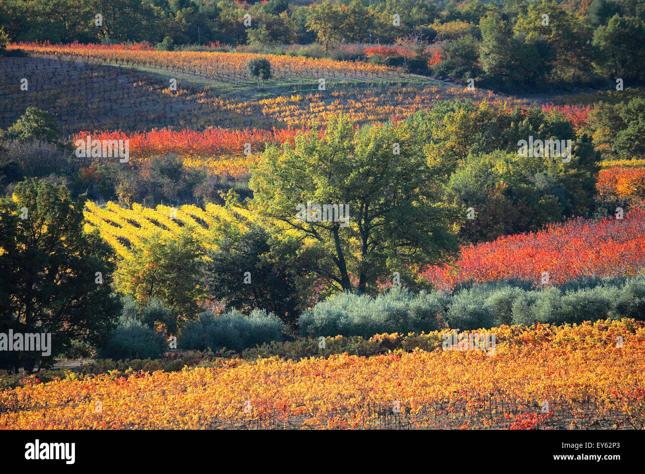 Agricultural landscape in autumn - Provence France Stock Photo - Alamy
