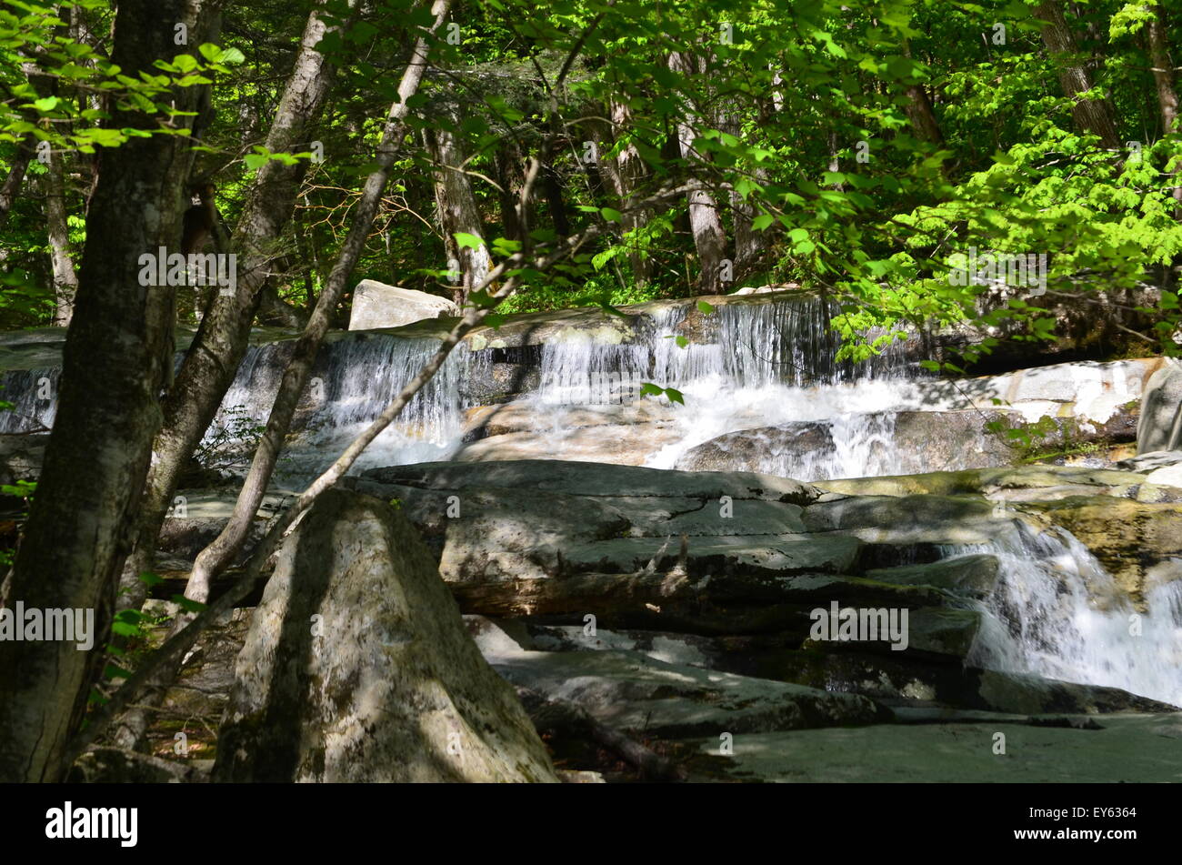 Mountain stream flowing in summer hi-res stock photography and images ...