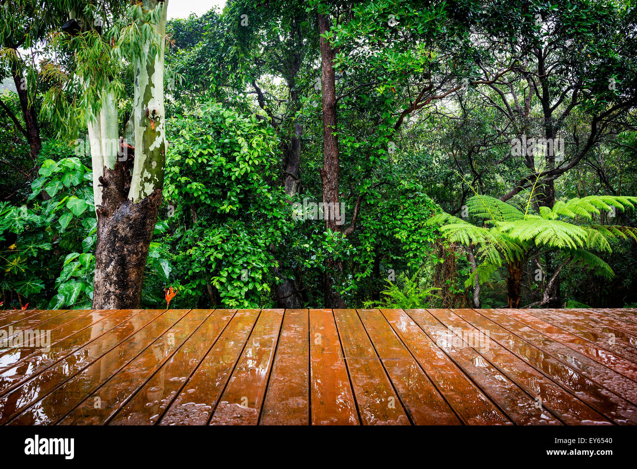 Stretch wood texture hi-res stock photography and images - Alamy