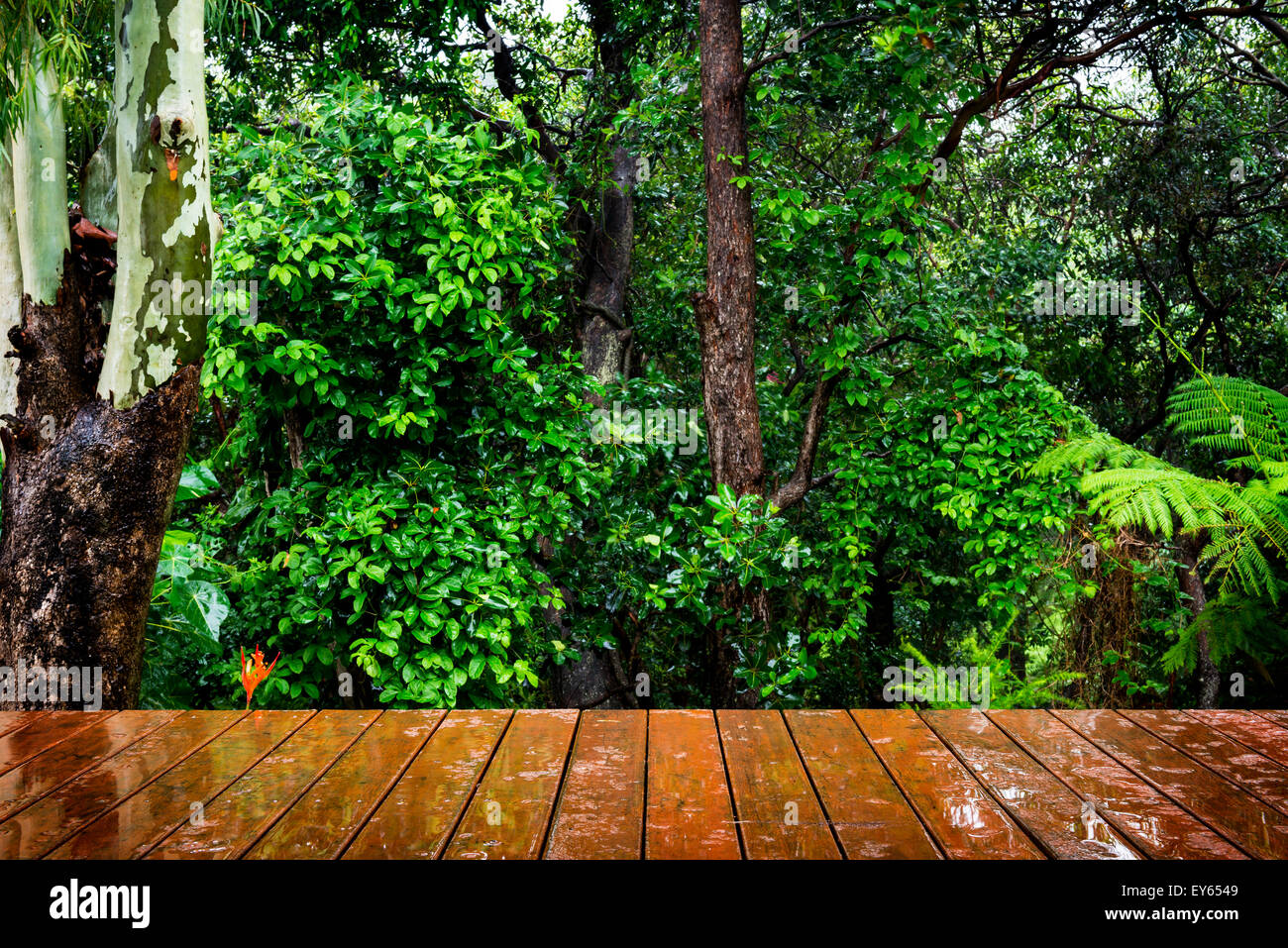 Stretch wood texture hi-res stock photography and images - Alamy