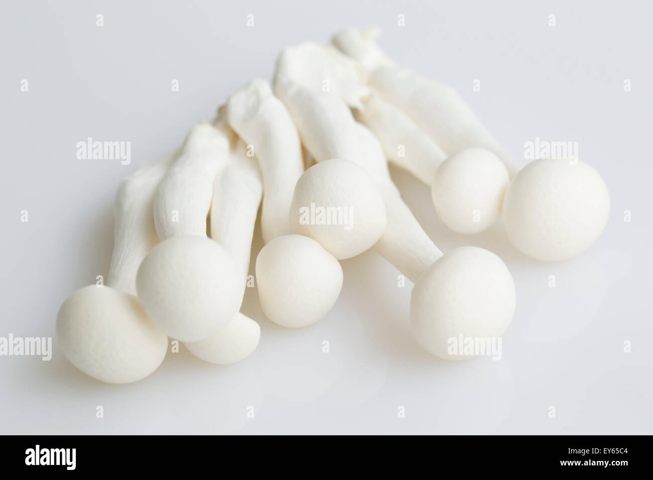 White beech mushrooms Stock Photo - Alamy