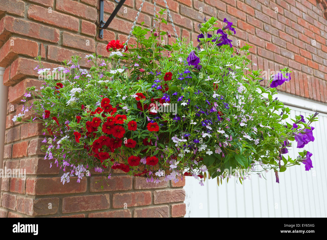 Summer hanging basket hi-res stock photography and images - Alamy