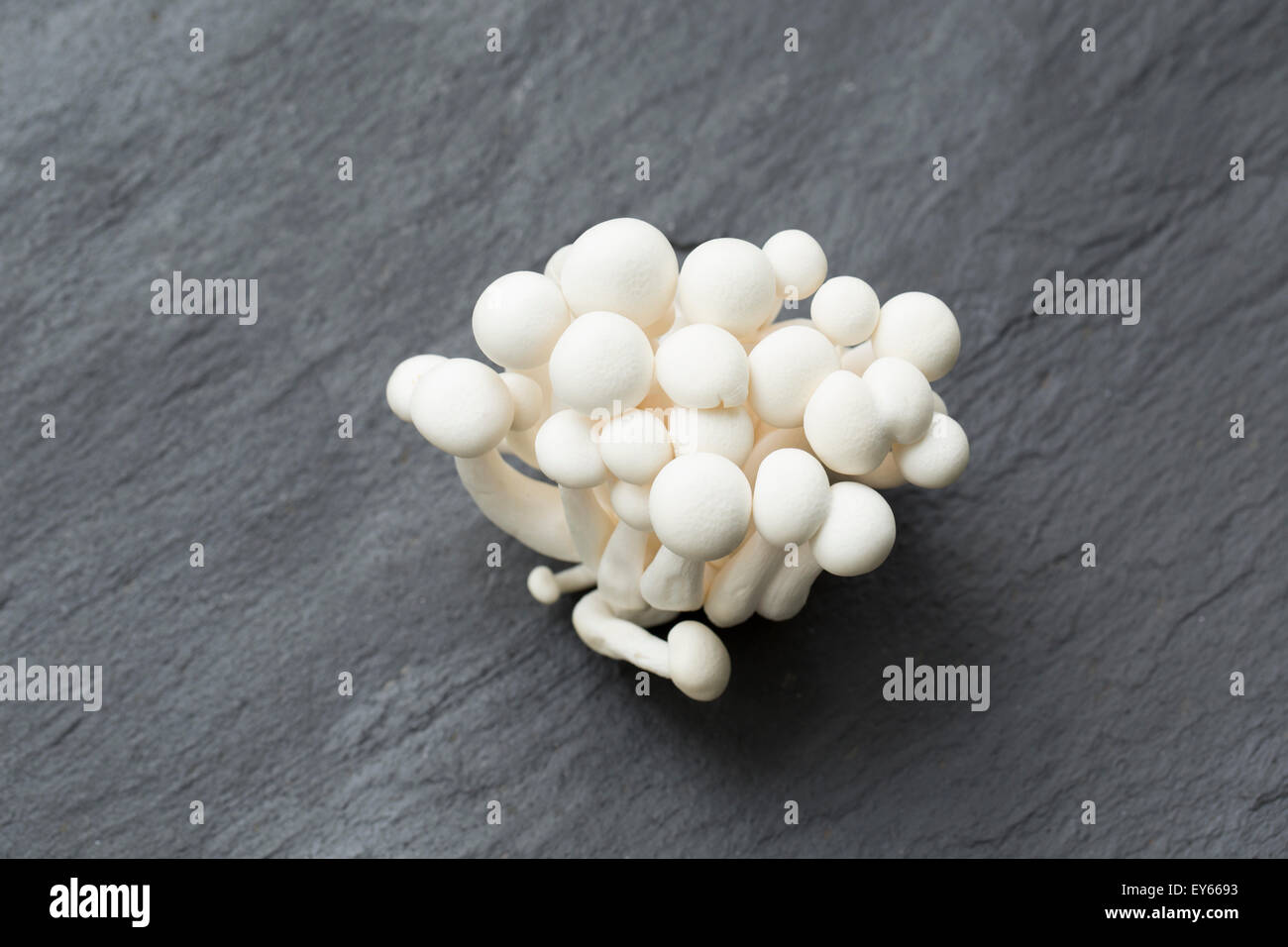 White beech mushrooms Stock Photo - Alamy
