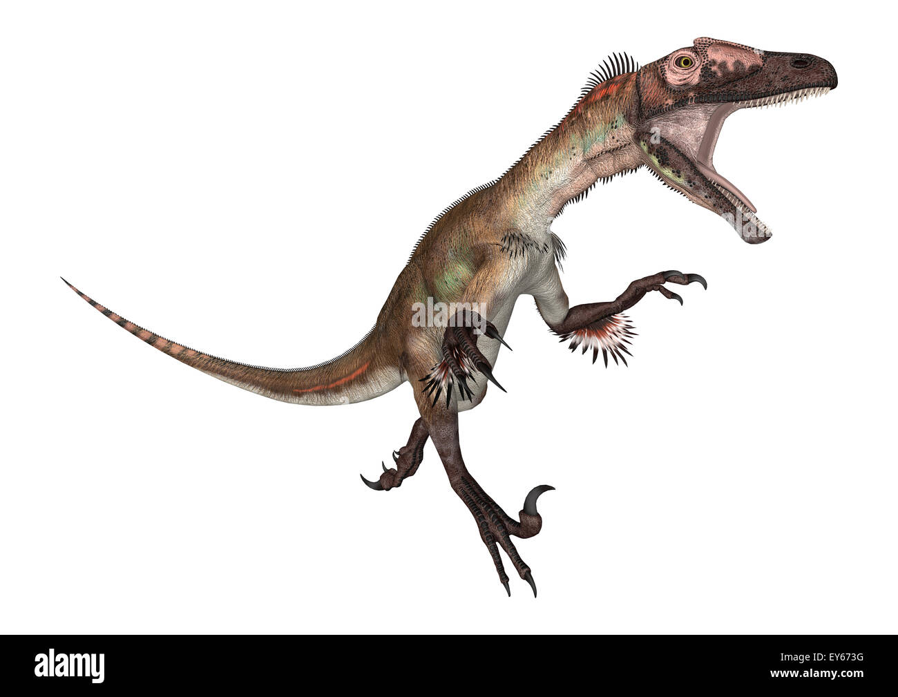 3D digital render of a dinosaur utahraptor running isolated on white ...