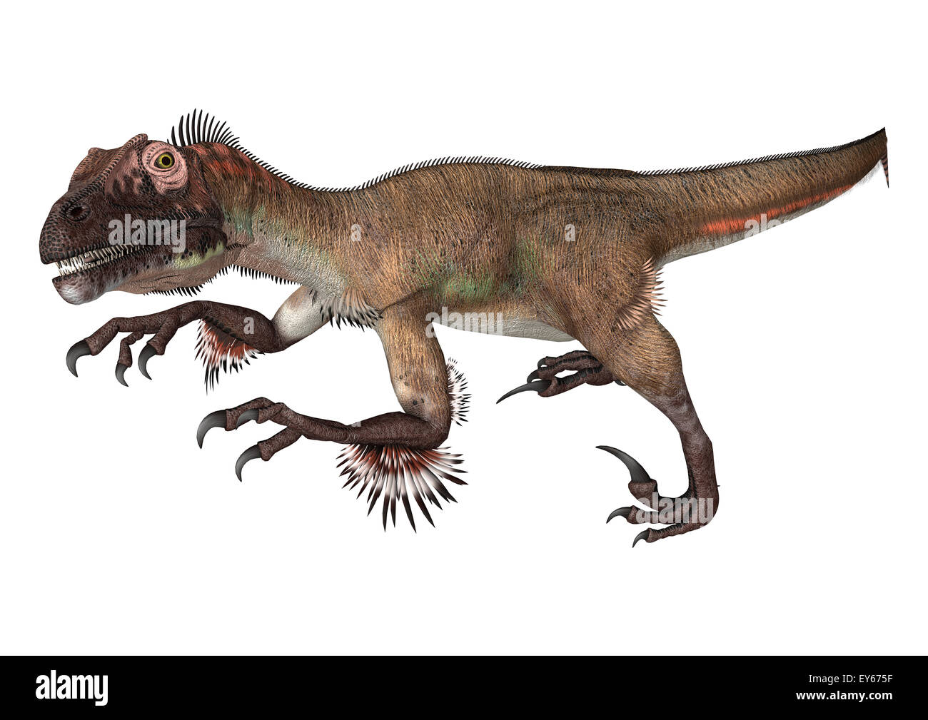 3D digital render of a dinosaur utahraptor hunting isolated on white ...
