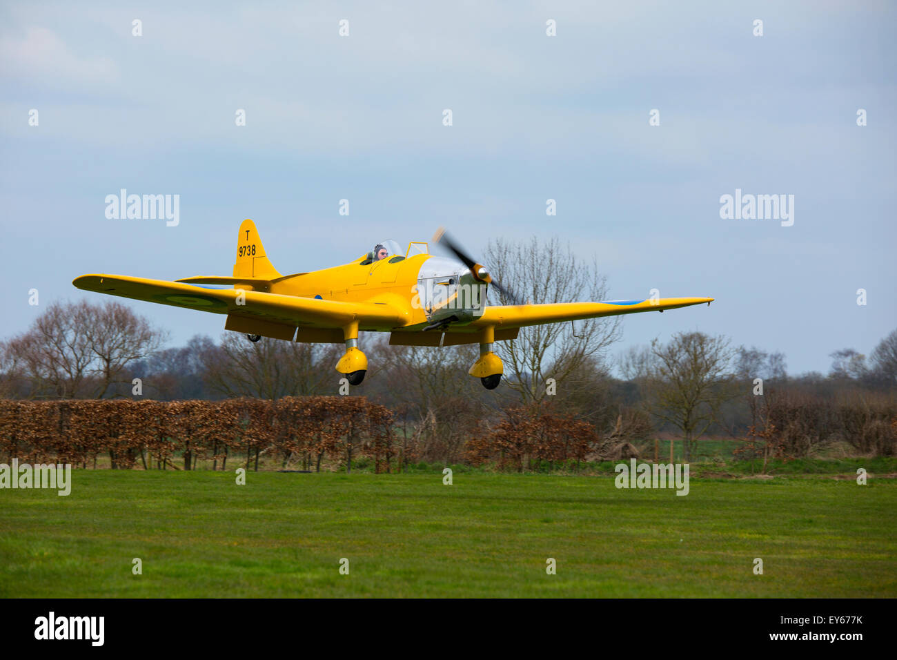 Miles hawk trainer hi-res stock photography and images - Alamy