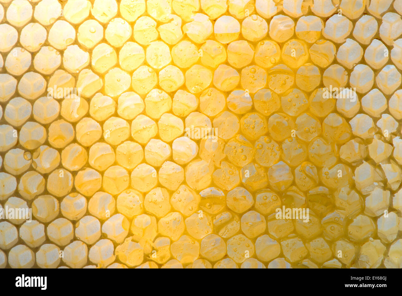 distorted honeycombs, half filled with honey Stock Photo - Alamy