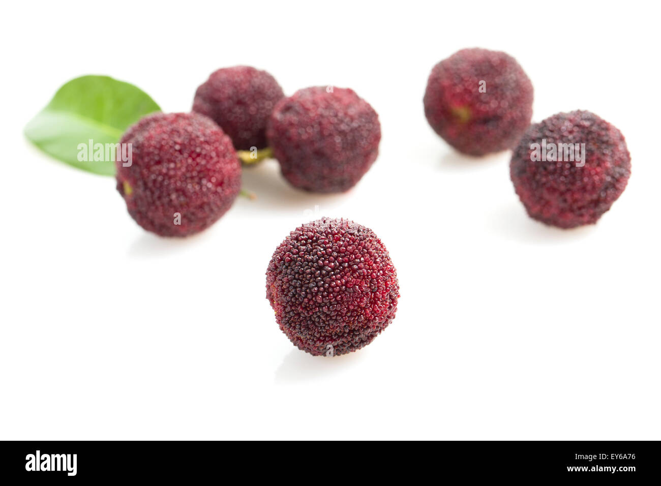 Waxberries hi-res stock photography and images - Alamy