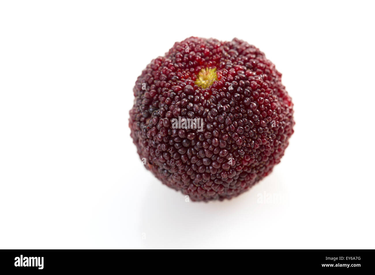 Waxberry hi-res stock photography and images - Alamy