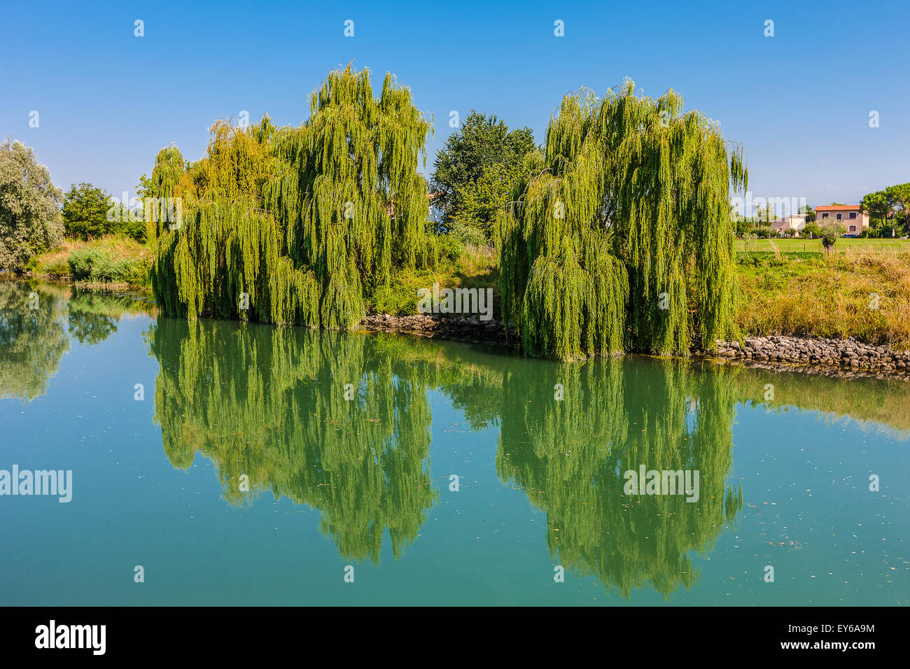 Veneto Natural Park River Sile - Trapelade Stock Photo - Alamy