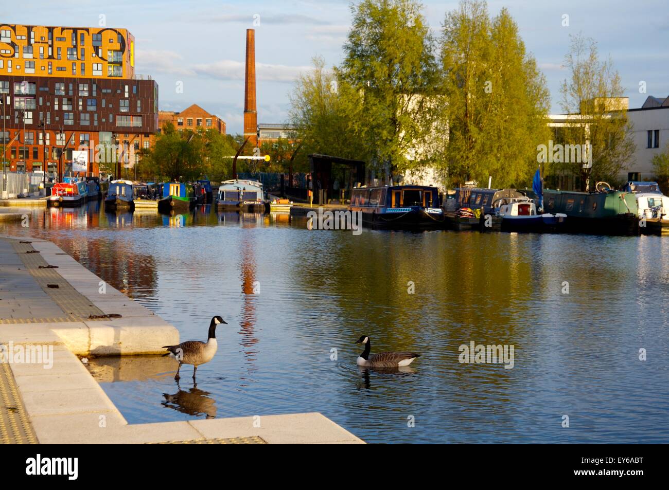 New Islington Marina, Manchester, off Rochdale Canal Stock Photo - Alamy