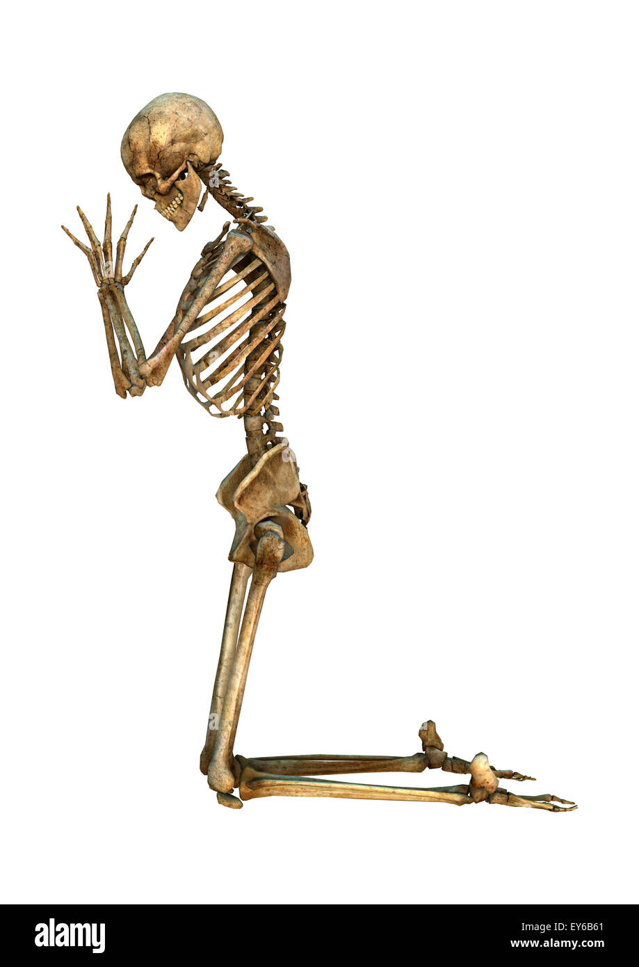 3D digital render of a human skeleton praying isolated on white ...