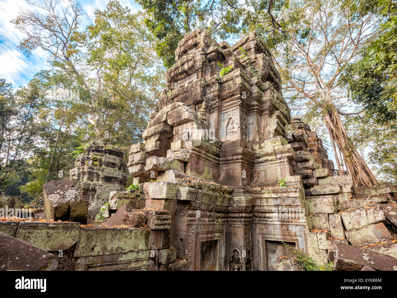 Ta Prohm Temple ancient tree roots, Angkor Stock Photo - Alamy