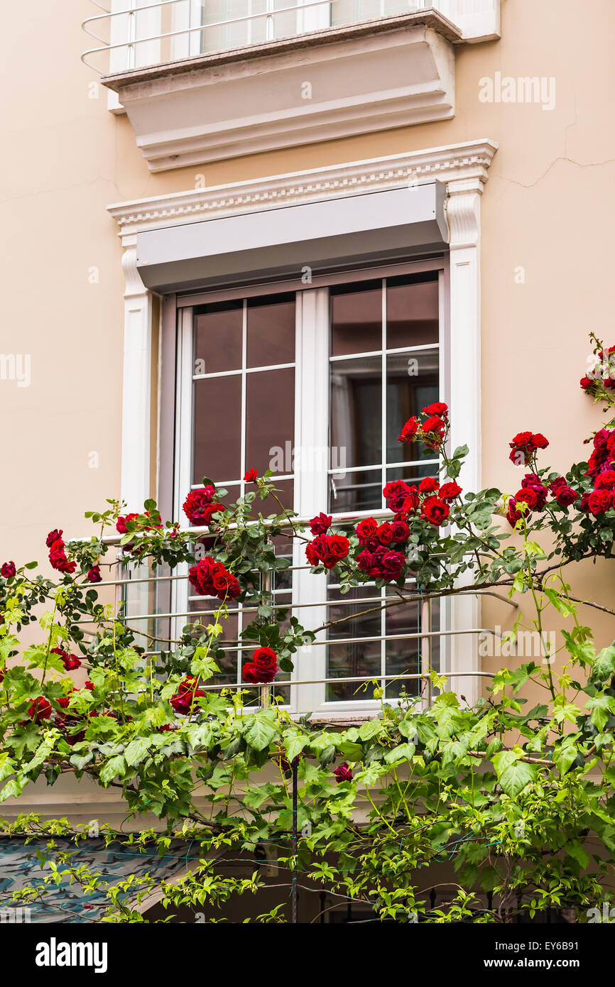 window with roses Stock Photo - Alamy